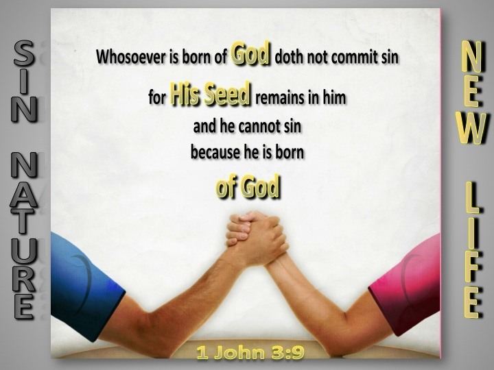 1 John 3 9 Verse Of The Day 1-john-3-9-verse-of-the-day