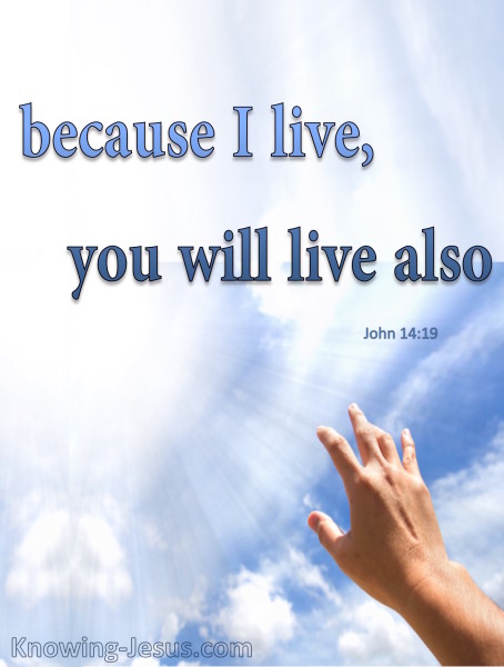 John 14 19 Verse Of The Day john-14-19-verse-of-the-day