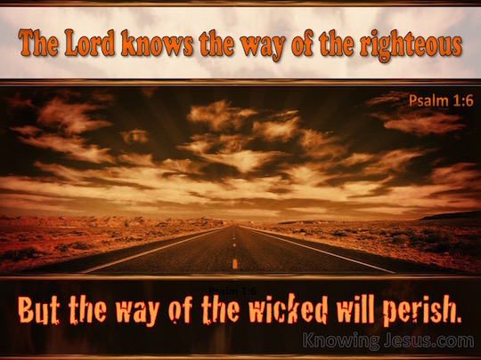 Psalm 1 6 Verse Of The Day psalm-1-6-verse-of-the-day
