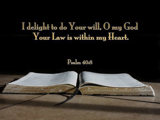 Psalm 40 8 Verse Of The Day psalm-40-8-verse-of-the-day
