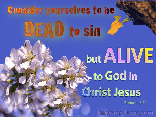Romans 6 11 Verse Of The Day